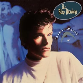 博客來-The Blow Monkeys / Animal Magic (4CD)
