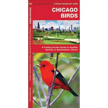 博客來-Chicago Birds: A Folding Pocket Guide to Familiar Species