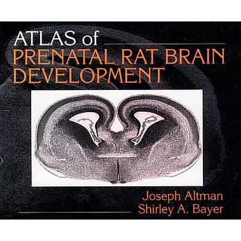 博客來-Atlas of Prenatal Rat Brain Development