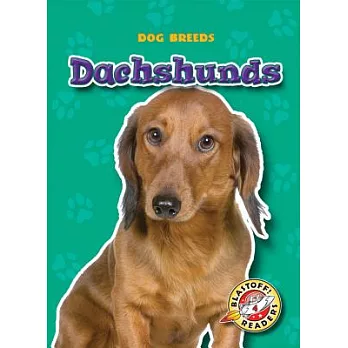 博客來-Dachshunds