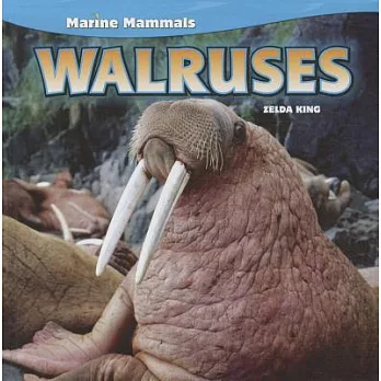 博客來-Walruses