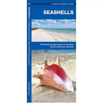 博客來-Seashells: A Folding Pocket Guide to Familiar North American Species