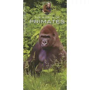 博客來-The World of Primates