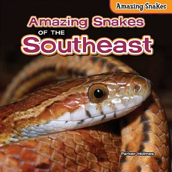 博客來-Amazing Snakes of the Southeast