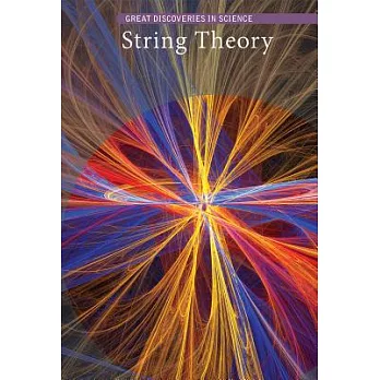 博客來-String Theory