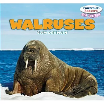 博客來-Walruses