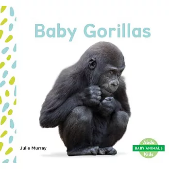 博客來-Baby Gorillas