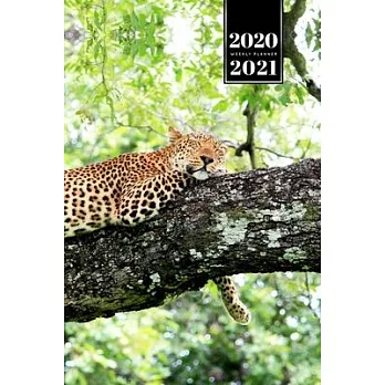 博客來-Panther Leopard Cheetah Cougar Week Planner Weekly Organizer ...