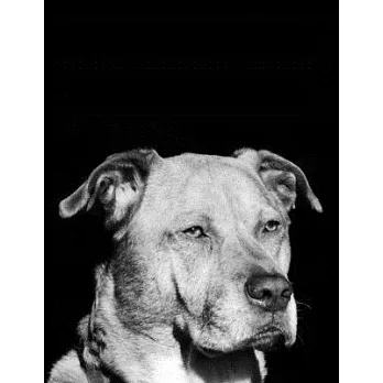 博客來-Daily Diary: Blank 2020 Journal Entry Writing Paper for Each Day of ...