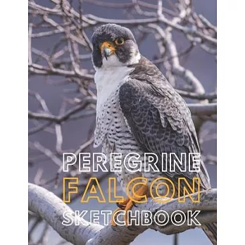 博客來-Peregrine falcon Sketchbook Large blank sketchbook for drawing 8.5 ...
