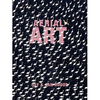 博客來-Aerial Art