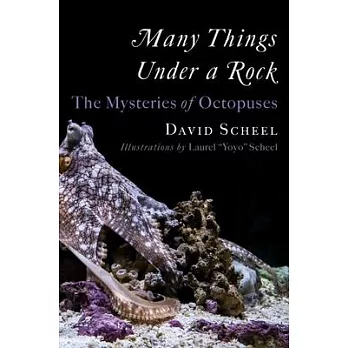 博客來-Many Things Under a Rock: The Mysteries of Octopuses