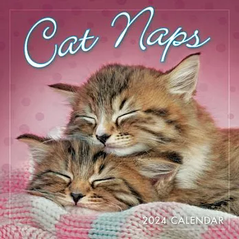 博客來-Cat Naps