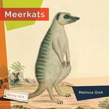 博客來-Meerkats