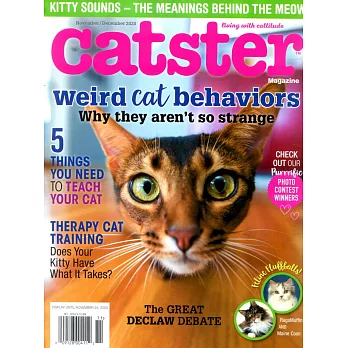博客來-catster Magazine 11-12月號/2020