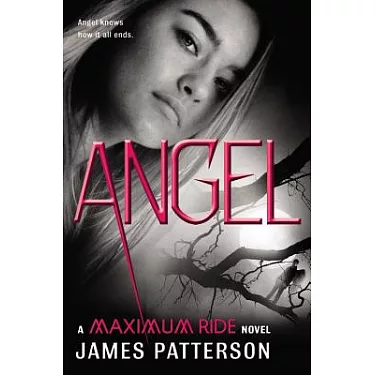 Maximum Ride Books 1 8