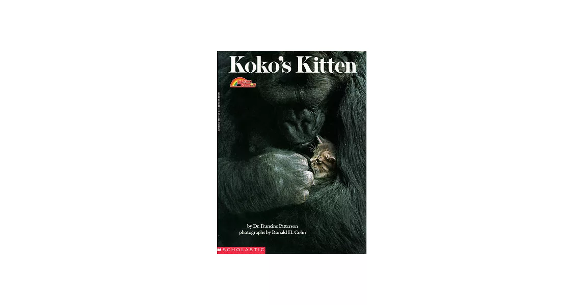 博客來-Kokos Kitten