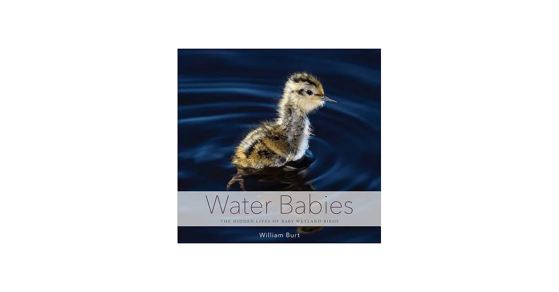 博客來-Water Babies: The Hidden Lives of Baby Wetland Birds