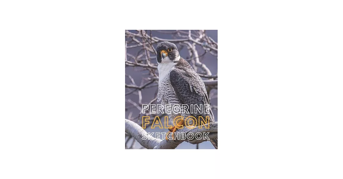 博客來-Peregrine falcon Sketchbook Large blank sketchbook for drawing 8.5 ...