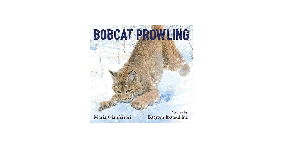 博客來-Bobcat Prowling