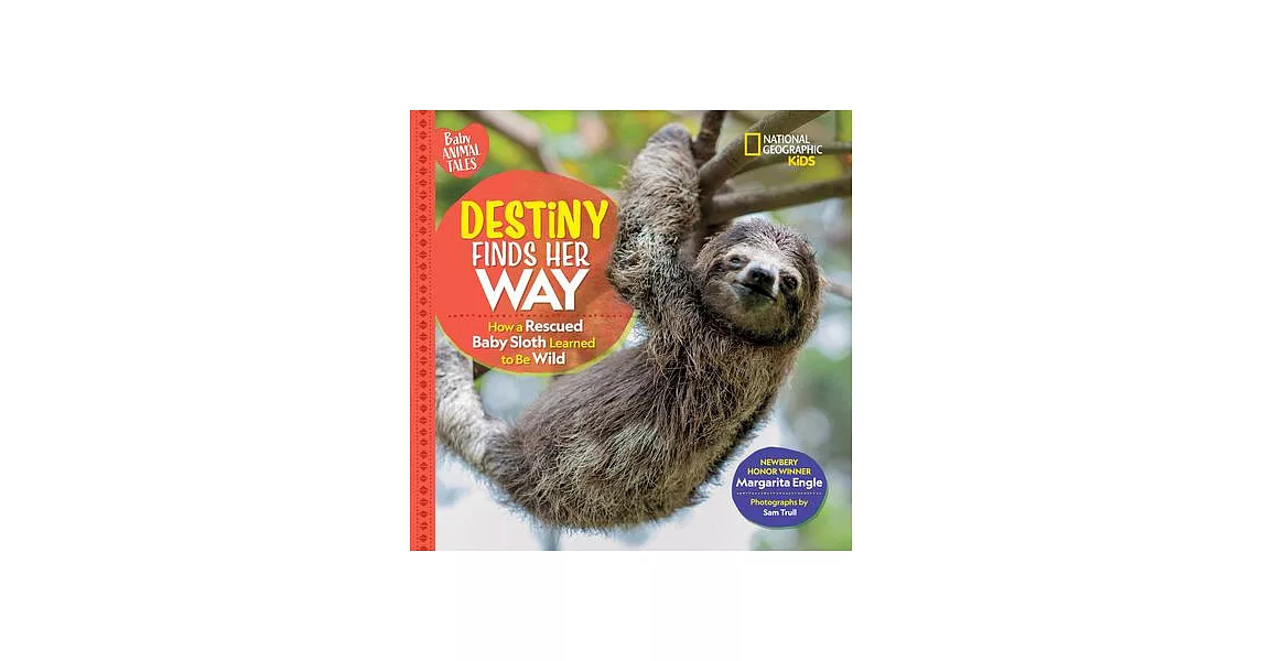 博客來-Destiny Finds Her Way: How a Rescued Baby Sloth Learned to Be Wild