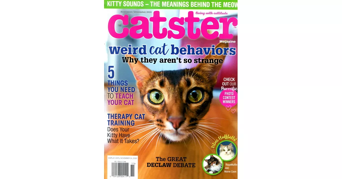 博客來-catster Magazine 11-12月號/2020