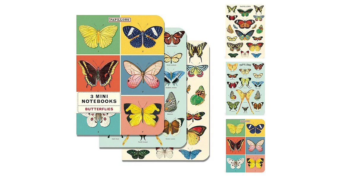 博客來-美國 Cavallini 口袋筆記本3入組 _蝴蝶