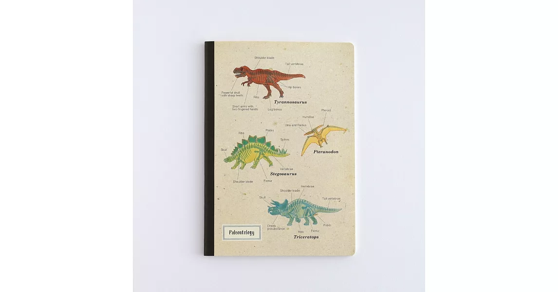 博客來-【日本Green Flash】STUDY HOLIC知識狂熱 筆記本A5 ‧ 古生物學