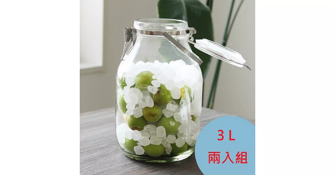 博客來-日本【星硝Cellarmate】不鏽鋼把手式密封瓶3L 兩入組